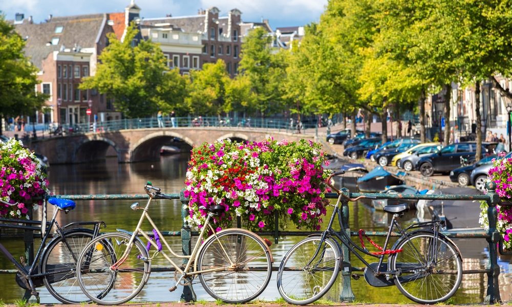 Spring returns to the Netherlands: Temperatures soaring to 20 degrees!