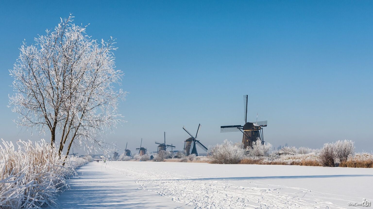 It may snow in the Netherlands at the weekend - Amsterdam Daily News ...