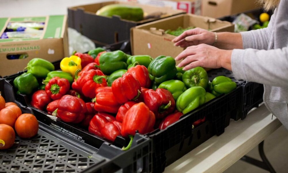 40% increase in food bank applications in the Netherlands