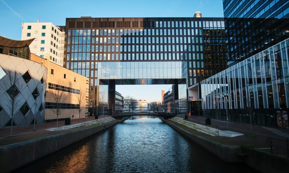 The University of Amsterdam