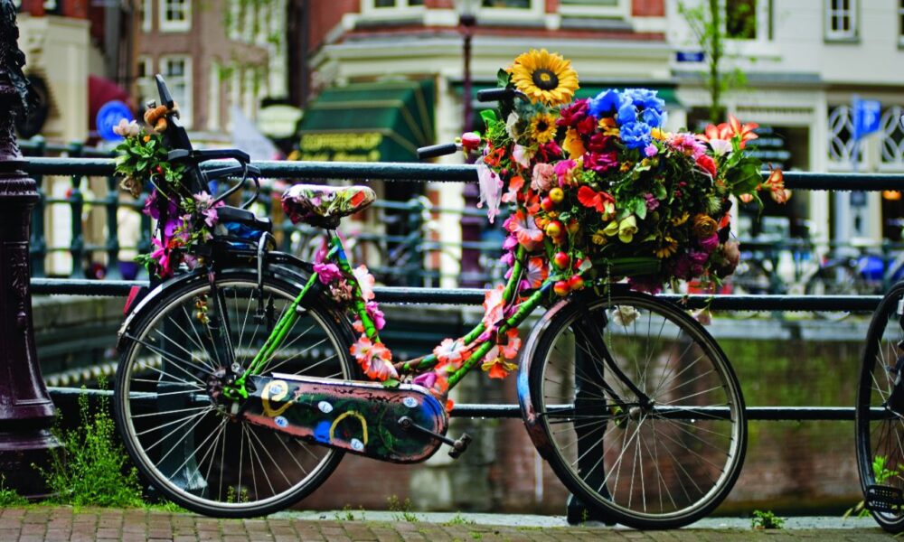 Heartbeat of Amsterdam: Exploring the Iconic Bicycles - Amsterdam Daily ...