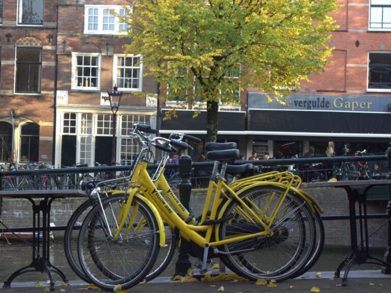 Amsterdam's Bike-Friendly Neighborhoods - Amsterdam Daily News ...